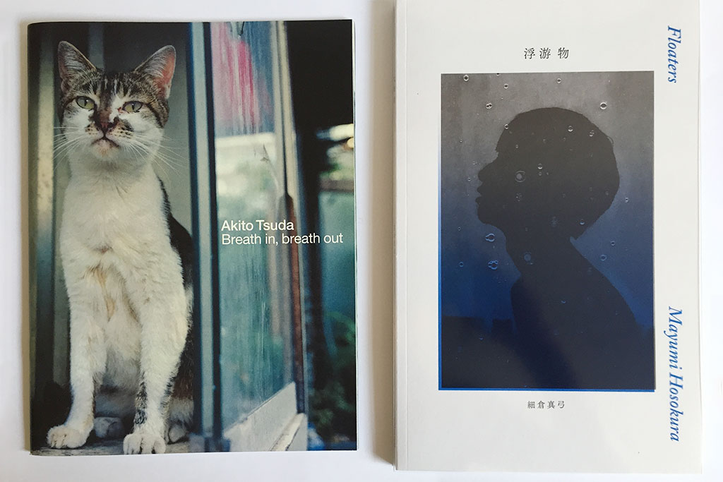 Print & Play: Japanese Photobooks - 10x10 Photobooks